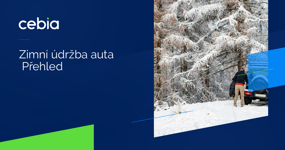 Zimní údržba auta Přehled | Cebia.cz